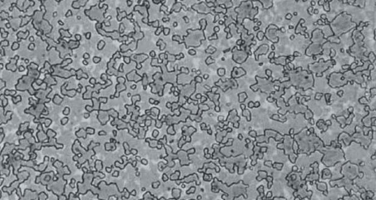 Metal-Cutting Carbide Blades - United Abrasives